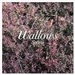 Spring Edition Collector Vinyle coloré - Wallows - Vinyle album - Achat ...