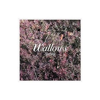 Spring Edition Collector Vinyle coloré - Wallows - Vinyle album - Achat ...