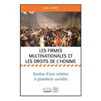 Les Firmes multinationales et les droits de l'homme Genèse d'une ...