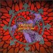 Soul pollution - Logical Nonsense - CD album - Achat & prix | fnac