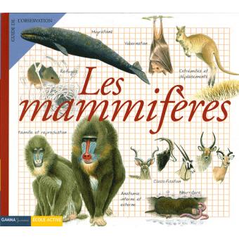 Les mammiferes Long = 276 mm larg = 248 mm - broché - Collectif - Achat ...