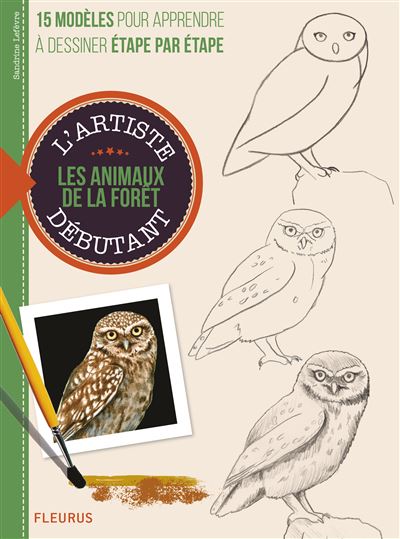 Les animaux de la forêt 15 modèles pour apprendre à dessiner étape par ...