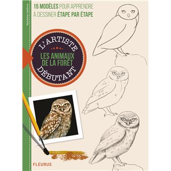 Les animaux de la forêt 15 modèles pour apprendre à dessiner étape par ...