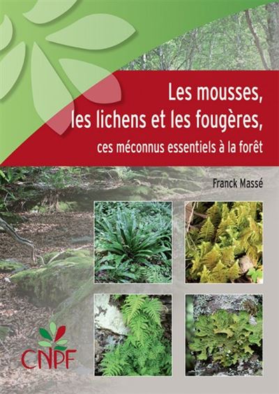 Les mousses, les lichens et les fougeres, ces meconnus essentiels a la ... Les mousses, les lichens et les fougeres, ces meconnus essentiels a la ...
