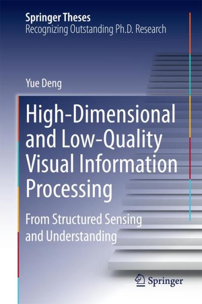 High-dimensional and low-quality visual information processi - relié ...