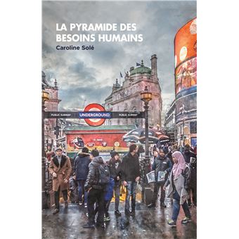 La pyramide des besoins humains - Poche - Caroline Sole - Achat Livre ...