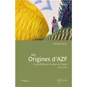 Aux origines d'AZF Le problème de l'azote en France (1919-1940 ...