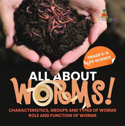 All About Worms! Characteristics, Groups and Types of Worms | Role and ...