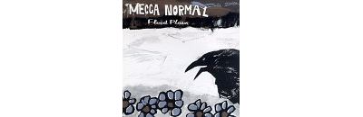 Flood plain - Mecca Normal - CD album - Achat & prix | fnac