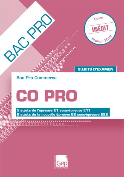CO Pro Bac Pro Epreuve E1 sous épreuve E11 Sujets d'examen - broché ...