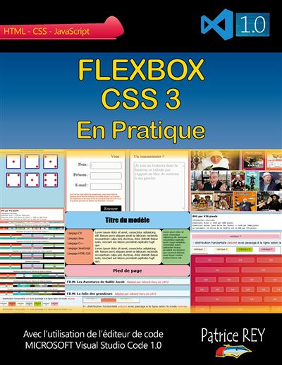 Flexbox CSS 3 en pratique Avec Visual Studio Code 1.0 - broché ...
