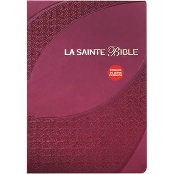 SAINTE BIBLE 1910 BORDEAUX PDJR - paperback - Louis Segond, Boek Alle ...