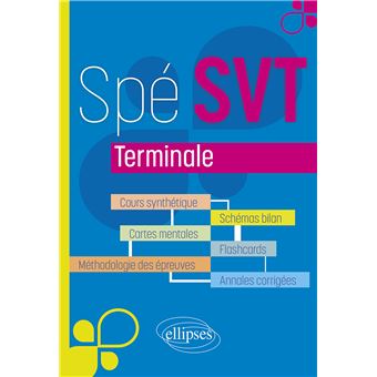 Spé SVT - Terminale Cours synthétique et visuel avec flashcards et ...