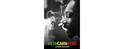 Reincarnated - DVD Zone 2 - Achat & prix | fnac