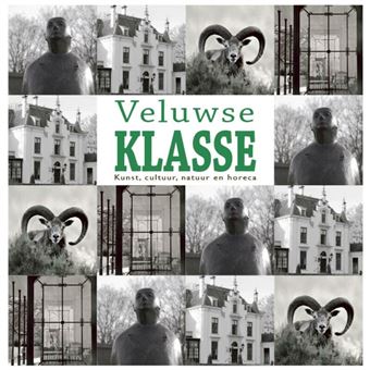 Veluwse Klasse Kunst, cultuur, natuur en horeca - cartonné - Willem ...