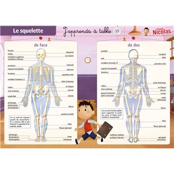 Le squelette, Les muscles - broché - Collectif, Livre tous les livres à ...