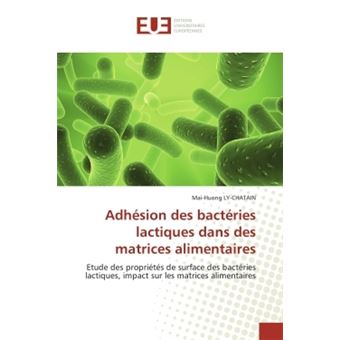 Adhésion des bactéries lactiques dans des matrices alimentaires Etude ...