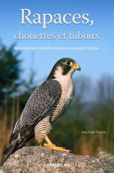 Rapaces, chouettes et hiboux - reconnaitre les especes - broché - W ...
