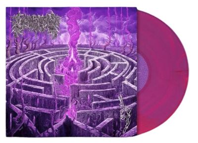 Maze Envy Édition Limitée Vinyle Violet et Magenta - Civerous - Vinyle ...