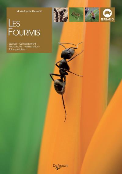 Les fourmis - broché - M.S. Germain - Achat Livre | fnac