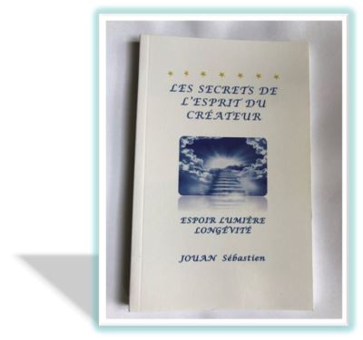 Le secret de l'esprit du créateur - broché - Sébastien Jouan - Achat ...
