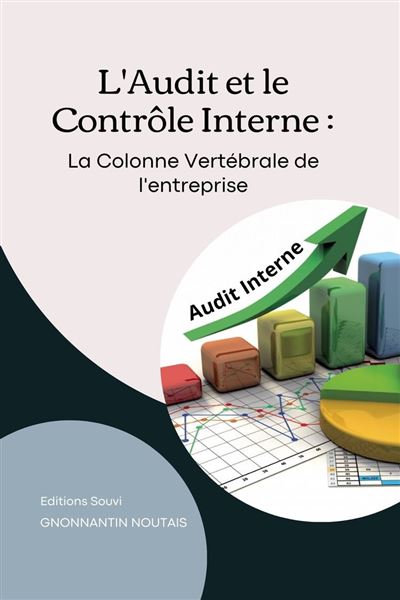 L'audit et le Contrôle Interne : La Colonne Vertébrale de l'entreprise ...