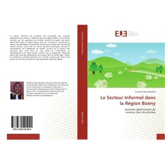 Le Secteur Informel dans la Region Boeny Activites generatrices de ...