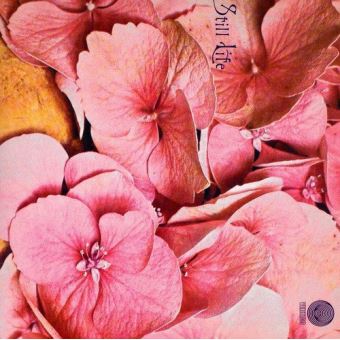 Still Life - Edition limitée - Still Life - CD album - Achat & prix | fnac