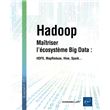 Hadoop - Maîtriser l’écosystème Big Data : HDFS, MapReduce, Hive, Spark ...