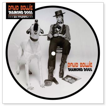 Diamond dogs 40th anniversary Picture Disc - David Bowie - Maxi vinyle ...