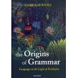 The origins of grammar - relié - James Hurford - Achat Livre ou ebook ...