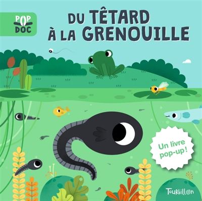 Du têtard à la grenouille - Pop up Pop up - cartonné - Marta Sorte ...