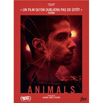 Animals DVD - Nabil Ben Yadir - DVD Zone 2 - Achat & prix | fnac