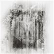 Fluorescent Grey - Three Point Circle - CD album - Achat & prix | fnac