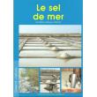 Le sel de mer - broché - Annette Lahaye-Collomb - Achat Livre | fnac