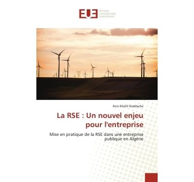 La RSE : Un nouvel enjeu pour l'entreprise Mise en pratique de la RSE dans une entreprise ...