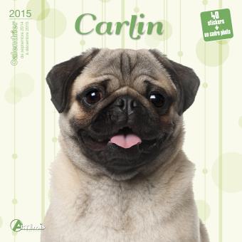 Carlin 2015 T2015 - broché - Collectif - Achat Livre | fnac