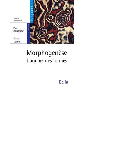 Morphogenèse L'origine des formes - broché - Paul Bourgine, Annick ...