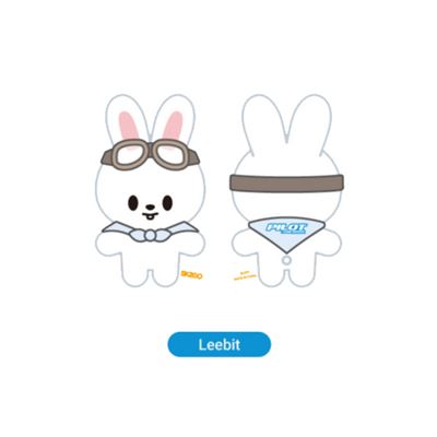 Peluche Skzoo Stray Kids Leebit : Objet dérivé en Stray Kids : tous les ...