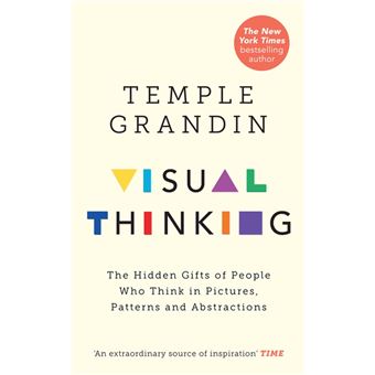VISUAL THINKING - Achat Livre ou ebook | fnac
