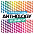 Trip Hop Anthology - Trip Hop - CD album - Achat & prix | fnac