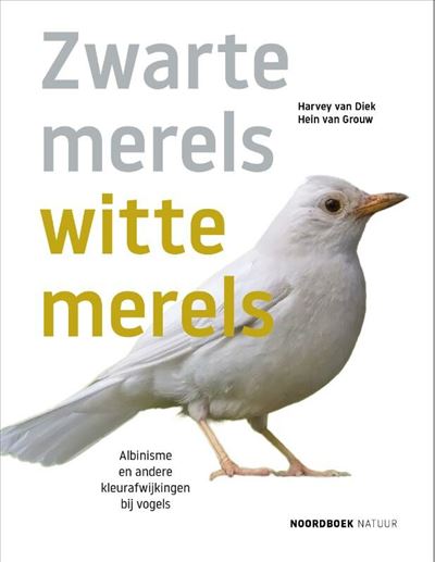 Noordboek Natuur - Albinisme en andere kleurafwijkingen bij vogels - Zwarte merels - witte ...