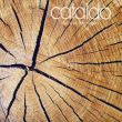 The way life works - Cataldo - CD album - Achat & prix | fnac