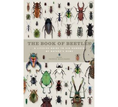 The Book of Beetles A Life-Size Guide to Six Hundred of Nature's Gems ...