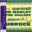 Welcome To Dubrock Édition Limitée - Bob Marley & The Wailers - Vinyle ...