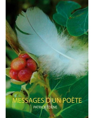 Messages d'un poète - broché - Patrick Edène - Achat Livre | fnac