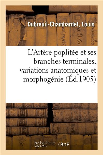 L'Artère poplitée et ses branches terminales, variations anatomiques et ...