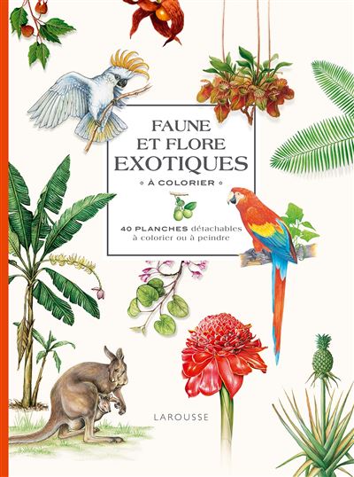 Faune et flore exotiques à colorier - broché - Collectif - Achat Livre | fnac