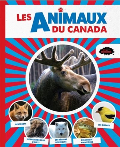 Les animaux du canada - cartonné - LUPIEN JESSICA - Achat Livre | fnac