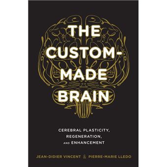 Custom-made brain Cerebral plasticity, regeneration, and enhancement ...